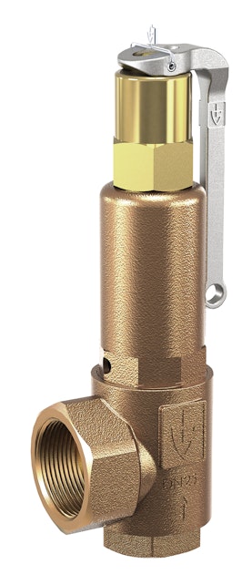 GÖTZE SAFETY VALVE GÖTZE 851, NE bGFL f/f 15/25 PTFE 11,5-16bar | Steel ...
