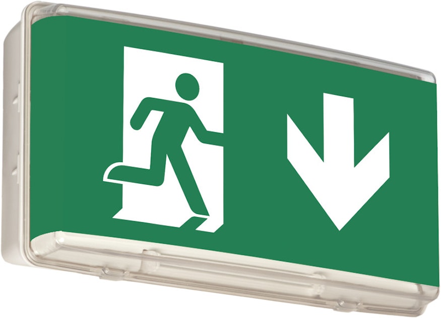 TEKNOWARE EMERGENCY LUMINAIRE TWT2951WK 230V WITH PICT SET | Emergency ...